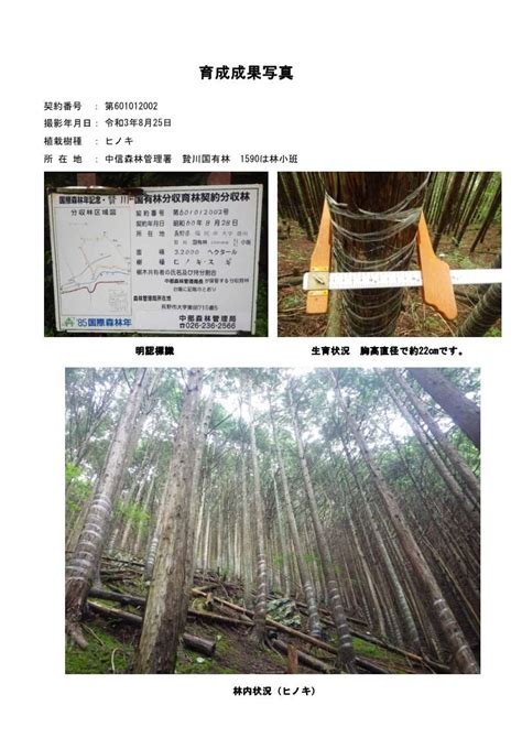 贄川国有林1590はに林小班新規初回公売令和4年度中部森林管理局