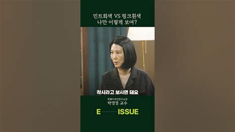 E Issue 민트회색 Vs 핑크흰색 중 어떤색으로 보이나요 Youtube