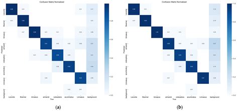A Lightweight Forest Pest Image Recognition Model Based On Improved Yolov8
