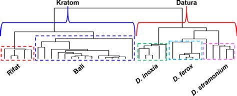 Rapid High Throughput Species Identification Of Botanical Material Using Direct Analysis In Real