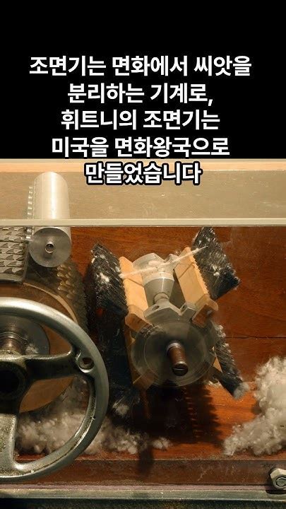 3월 14일 오늘의 Tmi 3월 14일 행주대첩 조면기 노예제도 배우 김영인 야인시대 포레스텔라 Youtube