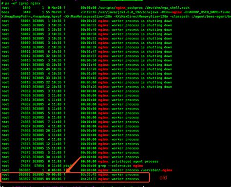 nginx s reload can t shutdown worker process · issue 201 · intel