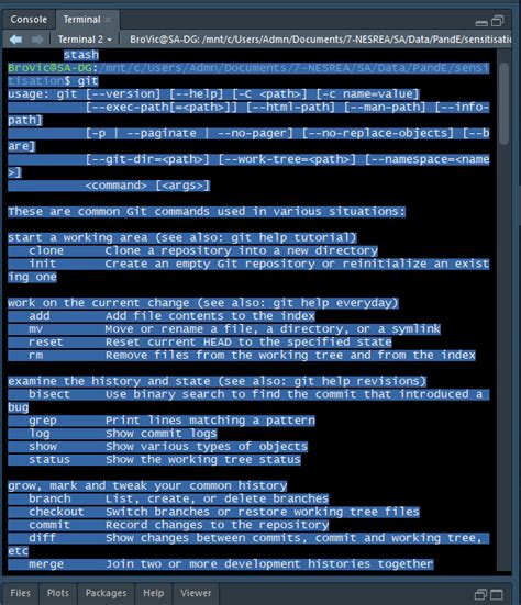 Unexpected Highlighting Of Text In Terminal RStudio IDE Posit Community