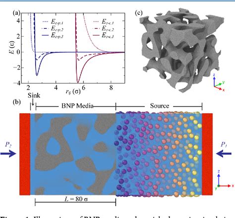 Figure 1 From Colloid Transport In Bicontinuous Nanoporous Media
