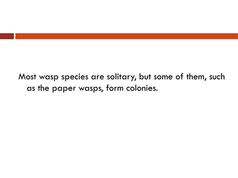 Ppt Bees And Wasps Powerpoint Presentation Free Download Id7130423