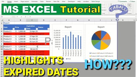 Excel Tutorial Ep20 Highlights Expired Dates Youtube