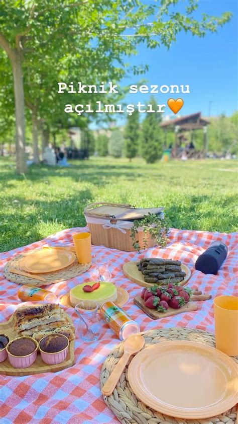 Piknik 2025 Piknik Yaz Piknik Doğum Günü Piknik