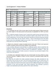 Height Estimation Analysis Human Skeleton Lab Findings Course Hero