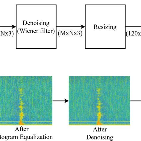 A Various Image Preprocessing Steps Applied On Dps B Preprocessing Download Scientific
