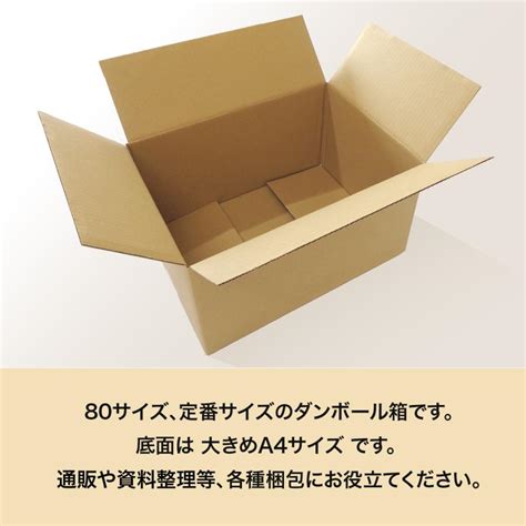桐パック ダンボール 段ボール箱 80サイズ 定番 A4 国産 10枚セット 人気 引越し 安い 梱包 宅配 通販 ゆうパック 桐パック