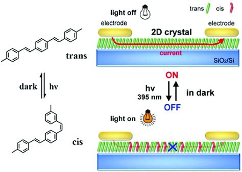 Chemical Structures Of Cis Trans Isomers Of The Stilbene Oligomer And Download Scientific