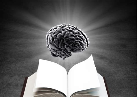 بهترین کتاب های نوروساینس ؛ 10 کتاب علوم اعصاب هوش برتر