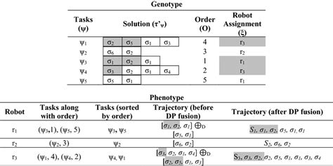 Individual Representation And Conversion From Genotype To Phenotype