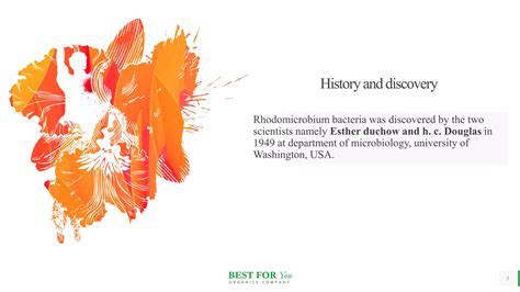 Rhodobacterium And Methanobacterium Pptx