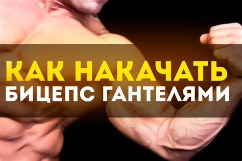 Как накачать бицепс гантелями главные советы и 2 эффективных упражнения 04 03 23 19 00 Пикабу