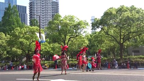 Escola De Samba KOBECCO 第47回神戸まつりおまつりパレード YouTube