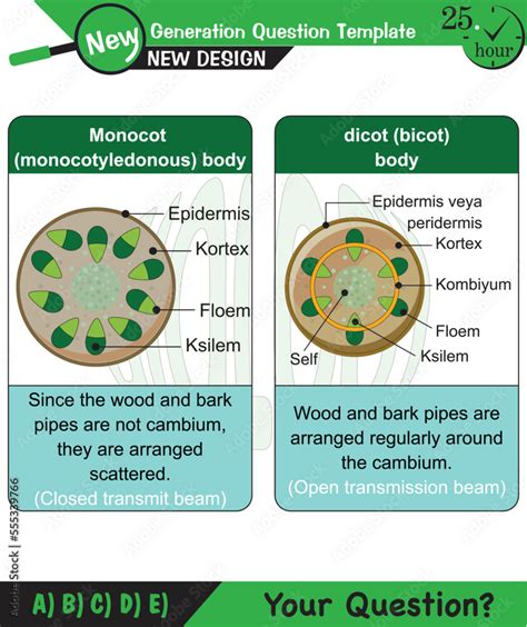 Biology Lecture Notes Plant Physiology Flower Seed Root Stem Leaf Next Generation