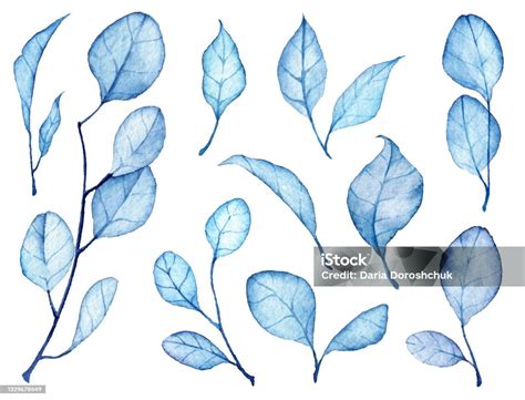 흰색 배경에 고립 된 수채화 부드러운 청록색과 파란색 잎 세트 손으로 그린 아쿠아렐 플로럴 일러스트레이션 나뭇가지에 활기찬 나뭇잎 0명에 대한 스톡 벡터 아트 및 기타