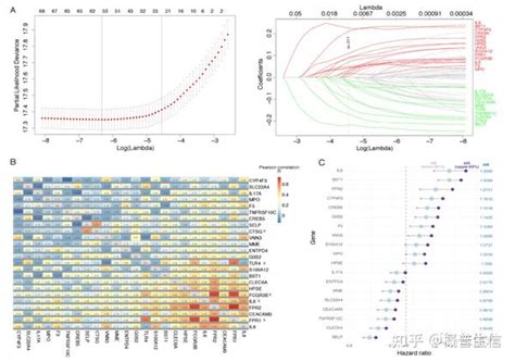Sci最新生信热点中性粒细胞胞外诱捕网（nets） 知乎