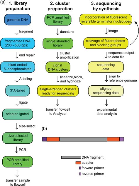 Whole Genome Sequencing Analysis Tutorial At Kathaleen Velasquez Blog
