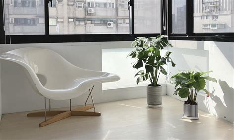 澄心診所clearmind Mental Clinic 【每日一句】 對人類之外的所有生物來說， 生命的意義又何在？就在於「三要一沒有