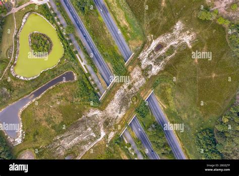 Top Down Aerial View Of Ecoduct Wildlife Crossing At Dwingelderveld