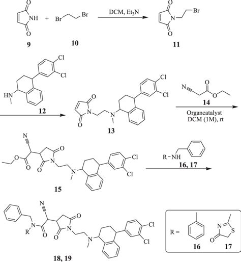 Scheme 1 Protocol For Synthesis Of Pyrrolidine Derivatives 18 And 19