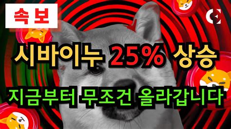 시바이누 코인 이 자리에서 안사면 평생 후회합니다 Youtube