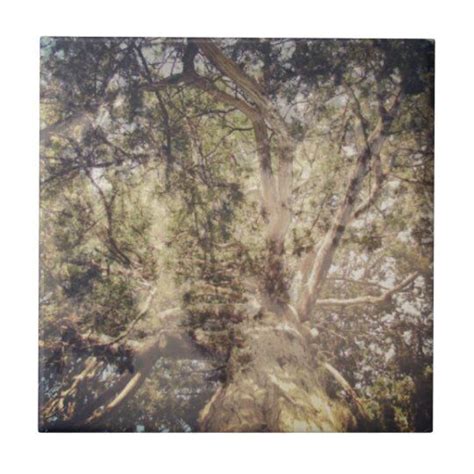 Tree Layers Digital Art Ceramic Tile Zazzle Digital Art Tree