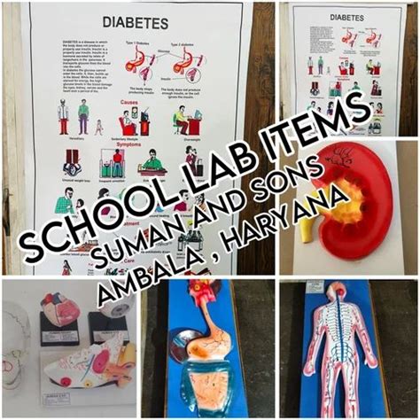 School Lab Equipment At ₹ 49000piece In Ambala Id 2856338028655