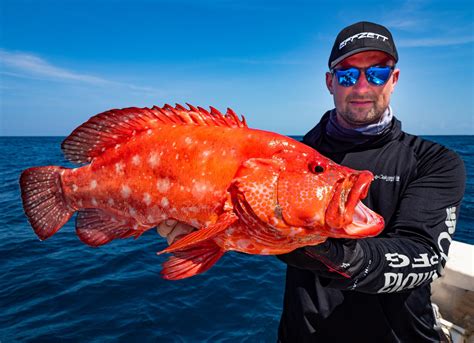 Names Of Saltwater Fish