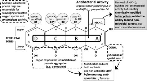 Possible Structure Activity Relationship Based Avoiding Of The Download Scientific Diagram