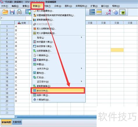 Spss如何将同组数据分组统计 软件技巧 Zol软件下载