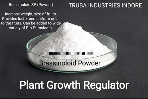Natural Brassinolide 001 Sp At ₹ 2850kg Brassinolide In Indore Id