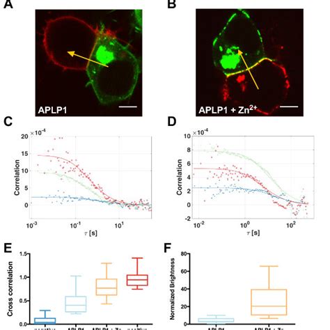 Perturbations In Scanning Fluorescence Cross Correlation Spectroscopy