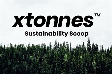 06 Lots More To Be Done In Targeting Net Zero