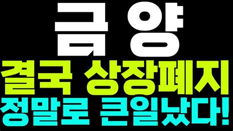 금양 거래정지 🔥결국 상장폐지 정말로 큰일났다 금양 금양주가 금양주가전망 박순혁 금양거래정지 금양상장폐지 Youtube