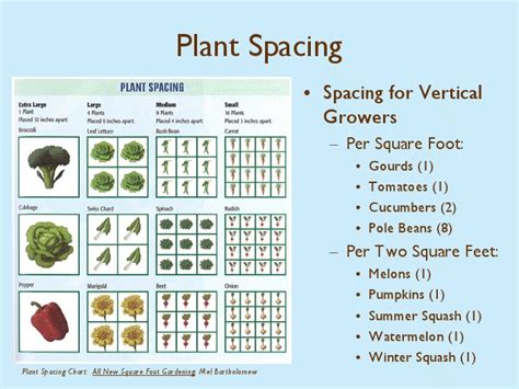 Square Foot Gardening Spacing Chart All About Hobby