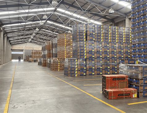 Duventus Nova Classic Duventus