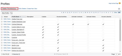 Create List View For Profiles Sfdc Mines