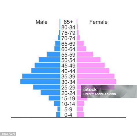 Population Pyramid Age Structure Diagram Template Example Of Population