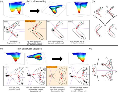 Binary Decisions A Binary Choice Landscape In The Starting Download Scientific Diagram
