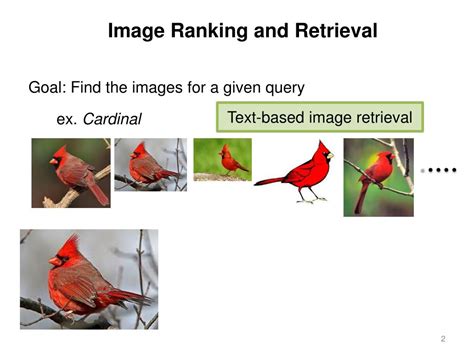 ppt time sensitive web image ranking and retrieval via dynamic multi task regression