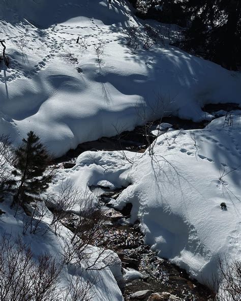 Leo Lulu Leolulu Onlyfans Get Photos