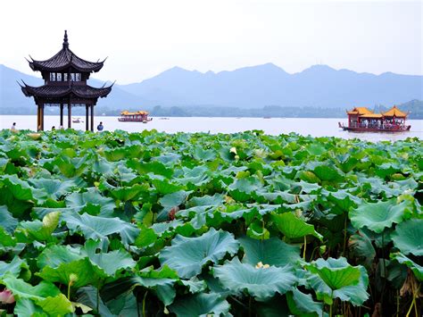Hangzhou City Break Standardon The Go Tours