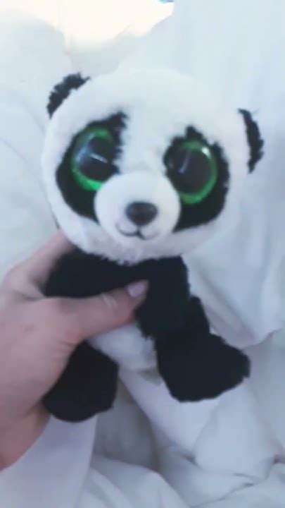 Wow Thats A Lot Of Pandas Pandas Shorts Youtube