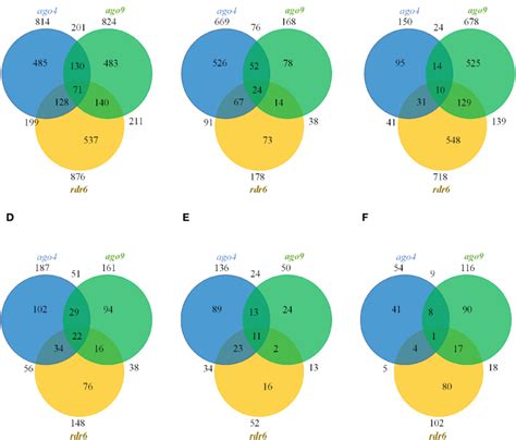 Venn Distribution Of Tes And Genes Mapping To Dmrs In The Chh Context