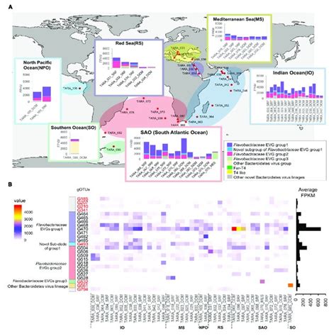 NCBI Nucleotide Sequences Databases Included In BLAST Nt Database Download Scientific Diagram