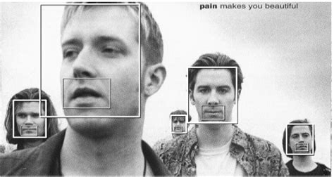 Fig 5 A Cropped Example Image From The Cmu Mit Face Test Set With