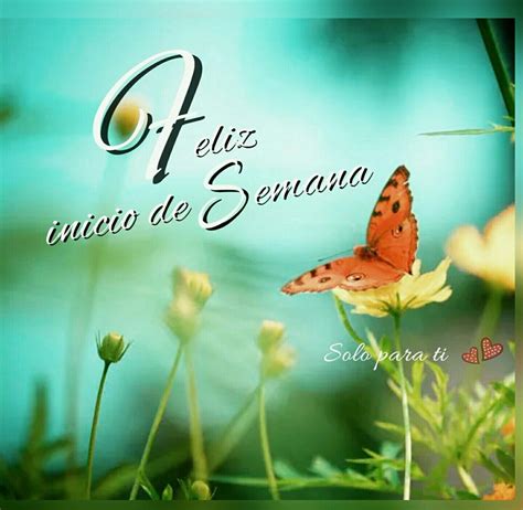 Feliz Inicio De Semana Para Todos Y Todas Buenos Días Saludos Sé
